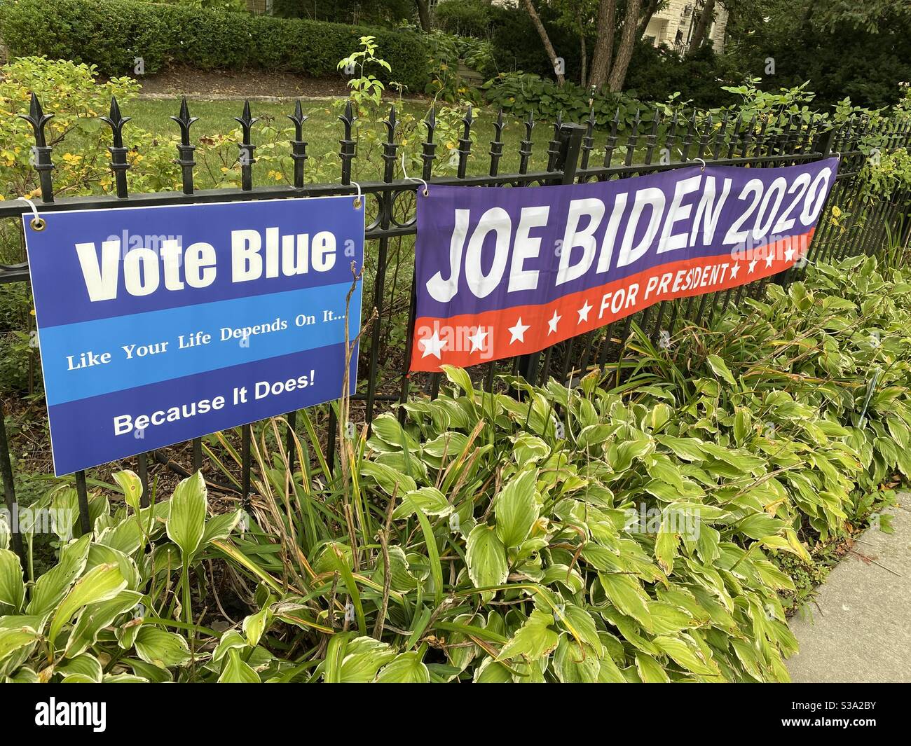 Vote Blue - campaign signs in a suburban Chicago yard Stock Photo - Alamy