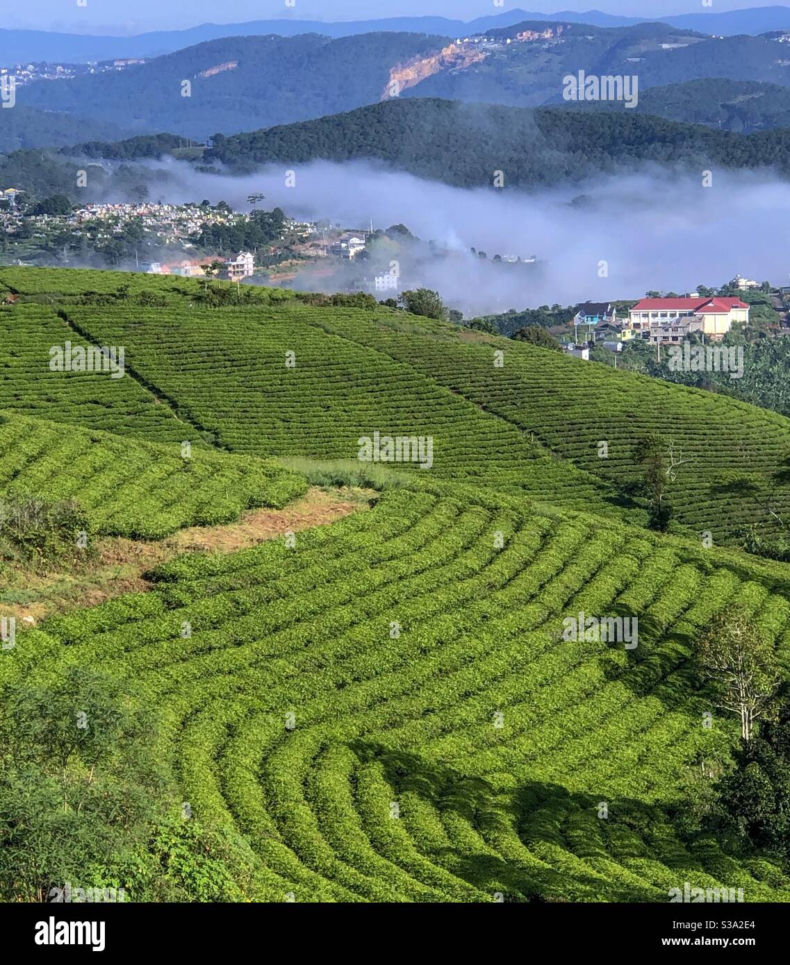 life covered the earth bridge Stock Photo - Alamy