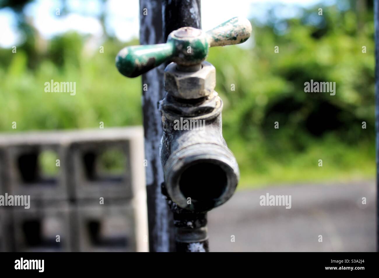 Water life hi-res stock photography and images - Alamy