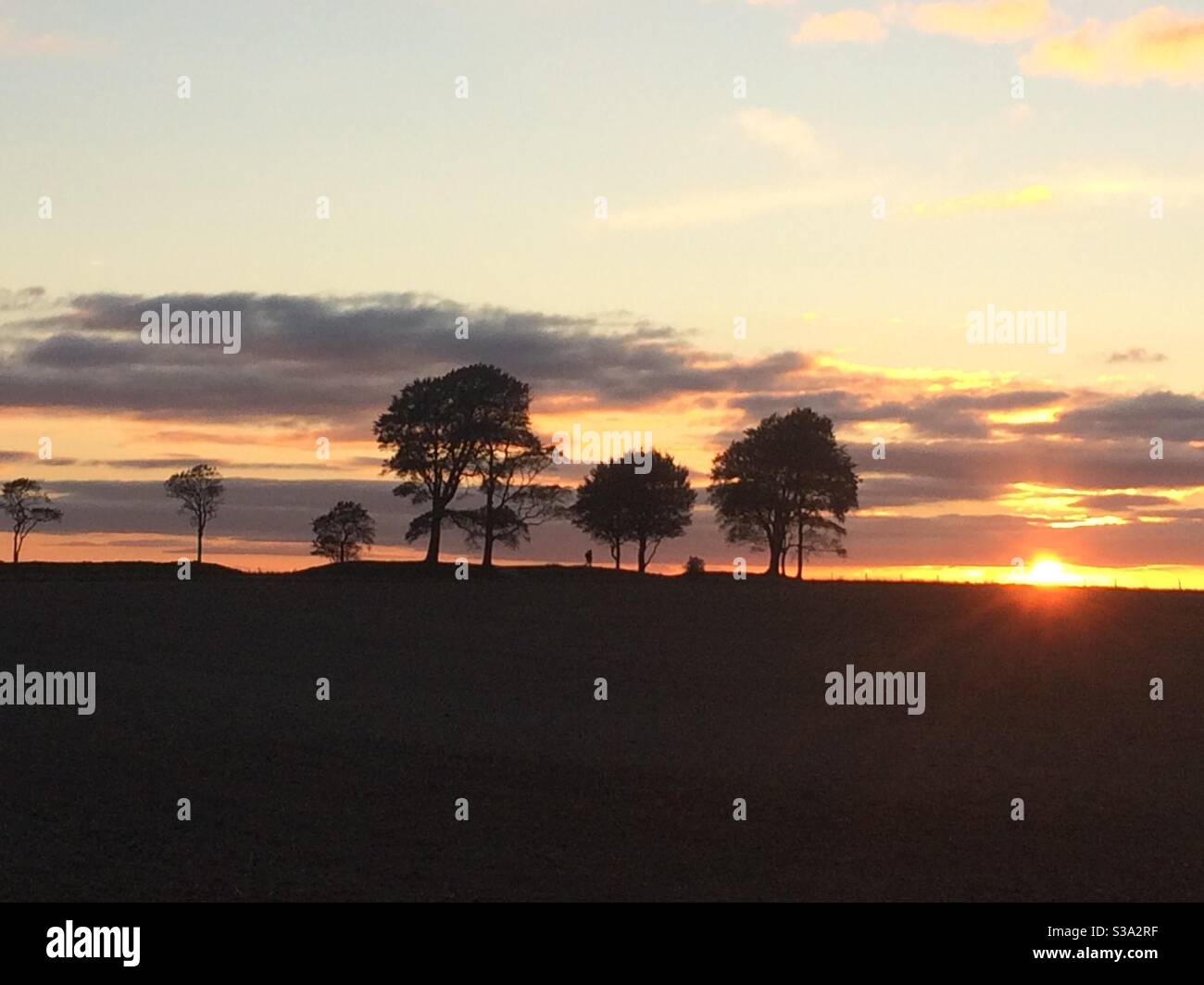 Roundway hi-res stock photography and images - Alamy