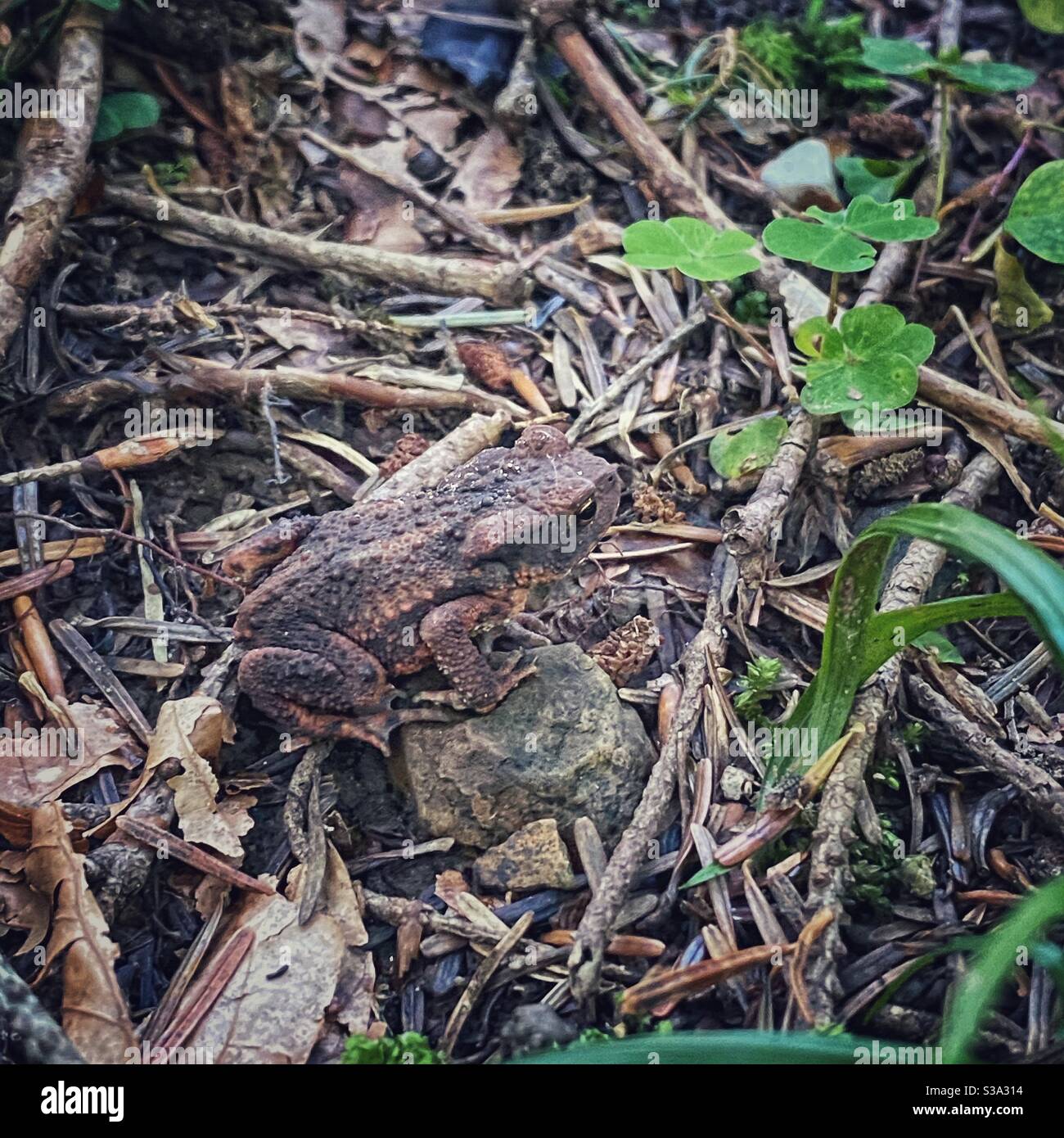 The trefoil lake hi-res stock photography and images - Alamy