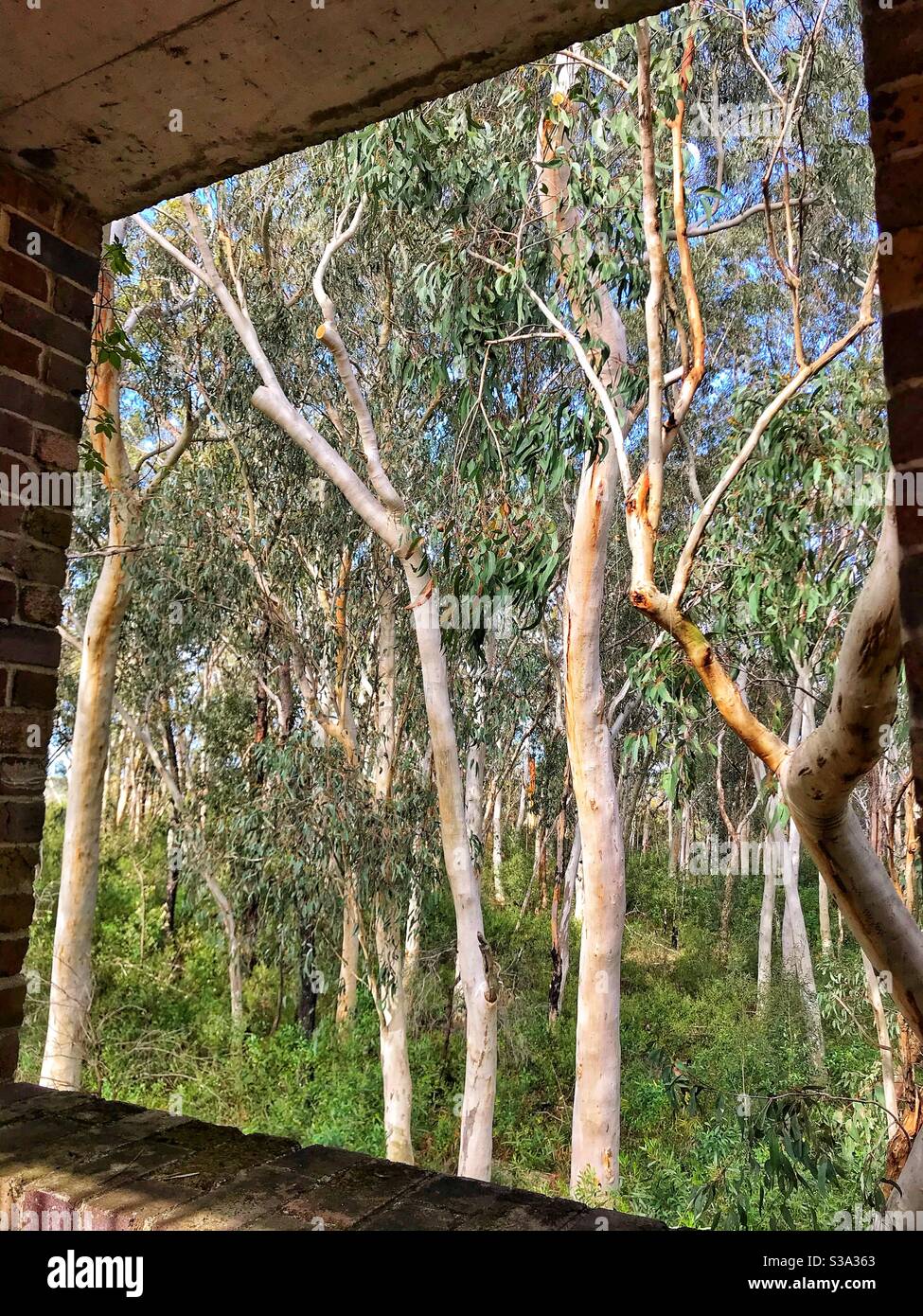 Brick tower hi-res stock photography and images - Alamy