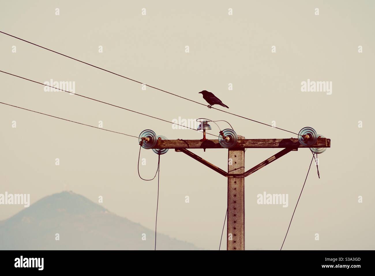 Wire silhouette hi-res stock photography and images - Alamy