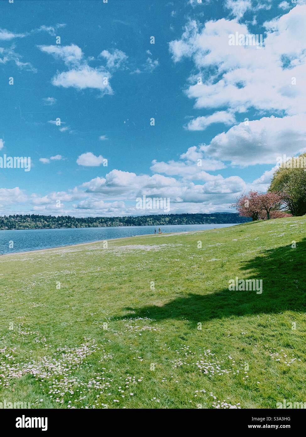 Lakeside washington hi-res stock photography and images - Alamy