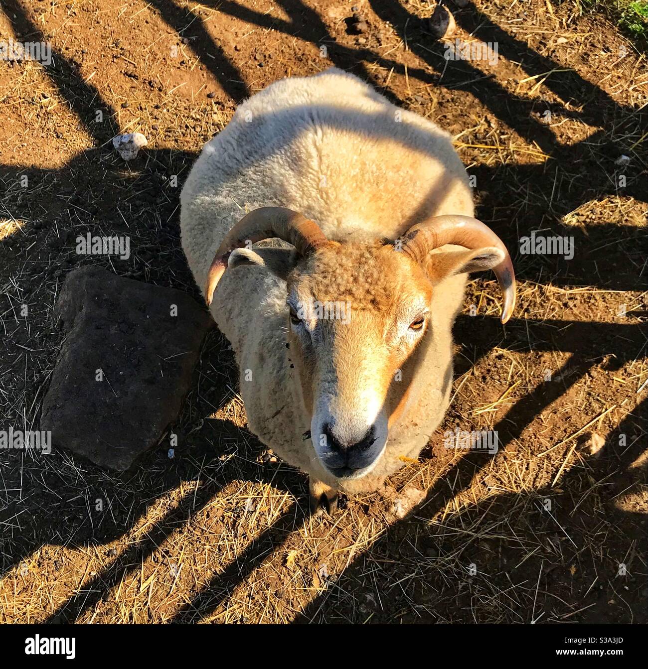 Portland wildlife hi-res stock photography and images - Alamy