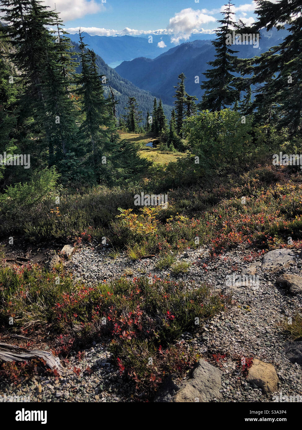 Pacific northwest mountains hi-res stock photography and images - Alamy