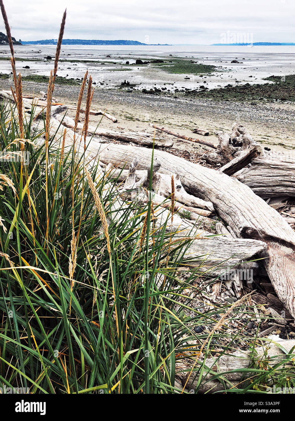 Puget sound beach High Resolution Stock Photography and Images - Alamy