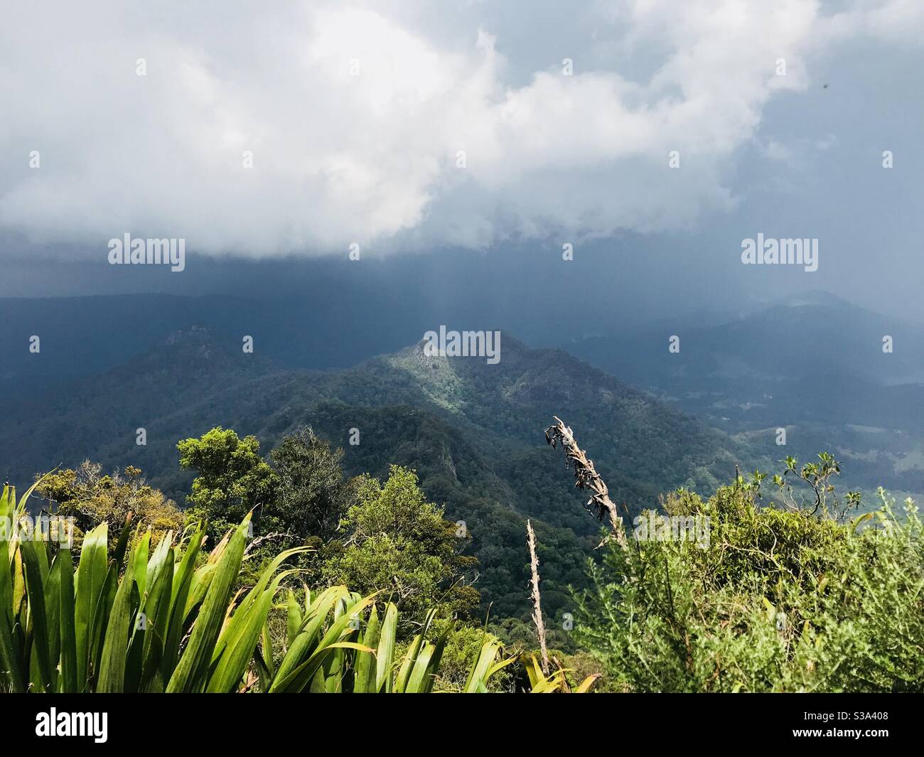 Mount Warning High Resolution Stock Photography and Images - Alamy