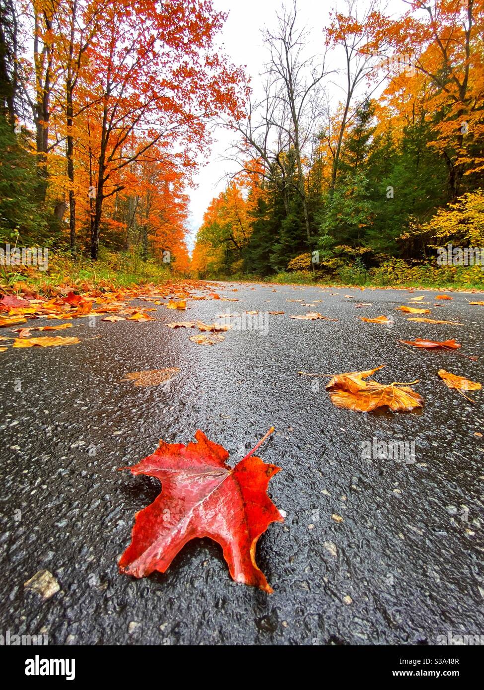 Intario hi-res stock photography and images - Alamy