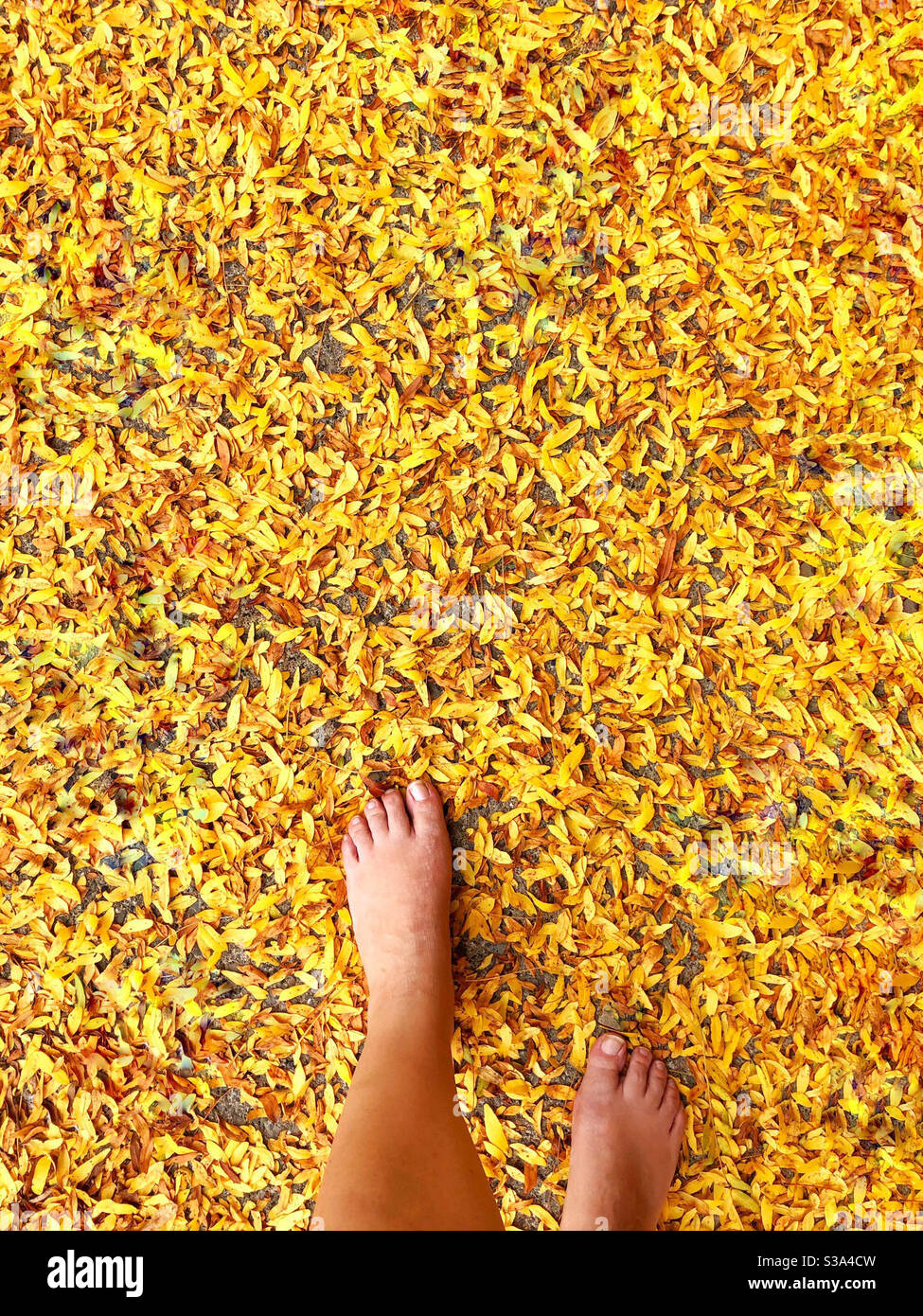 Walk barefoot hi-res stock photography and images - Alamy