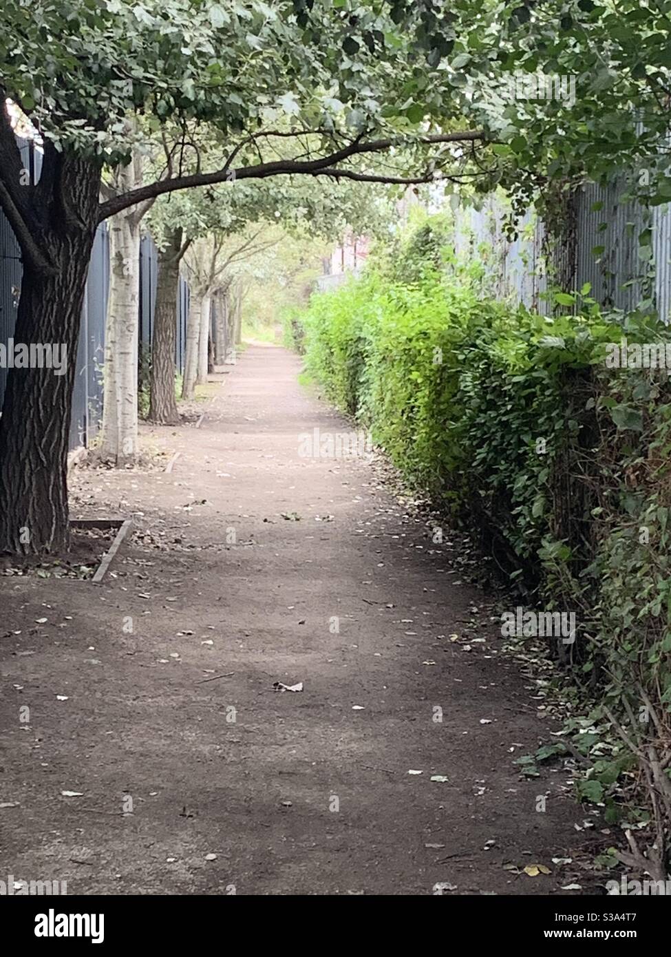 Path railings hi-res stock photography and images - Alamy