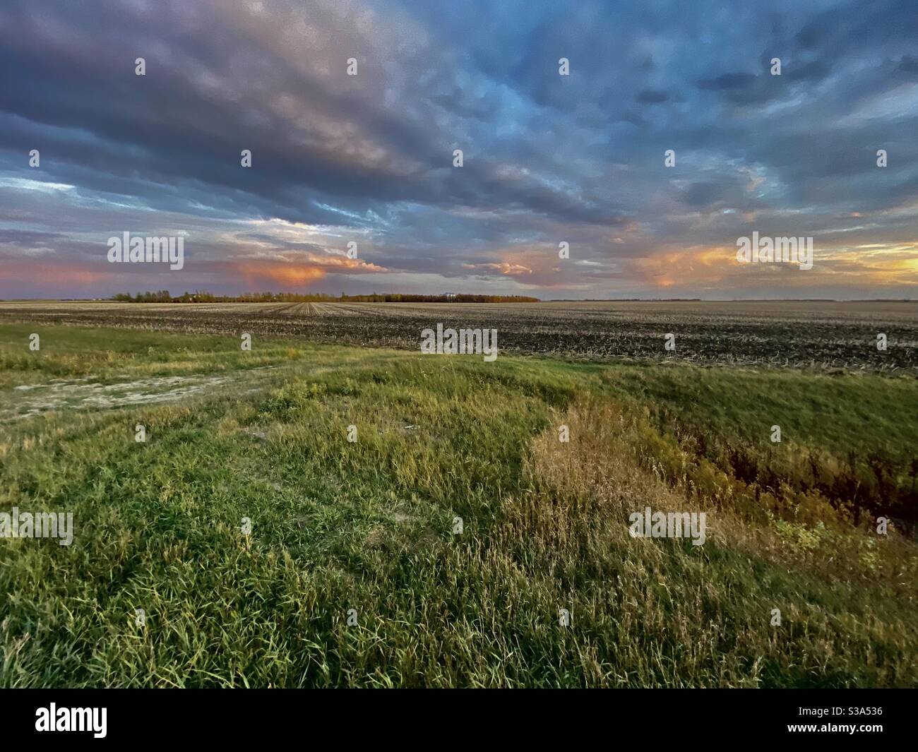 Manitoba canada farm hi-res stock photography and images - Alamy