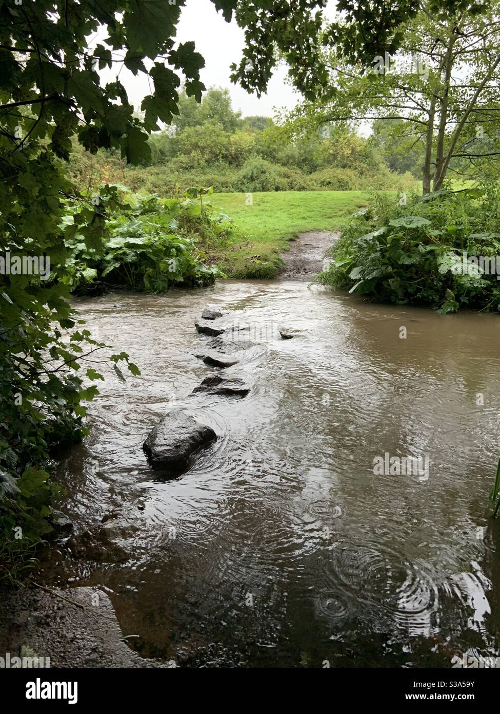 Steppingstones hi-res stock photography and images - Alamy