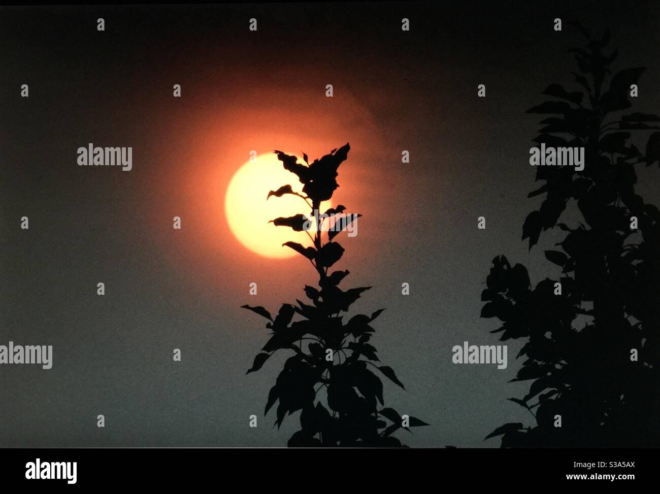 Fiery smoke hi-res stock photography and images - Alamy