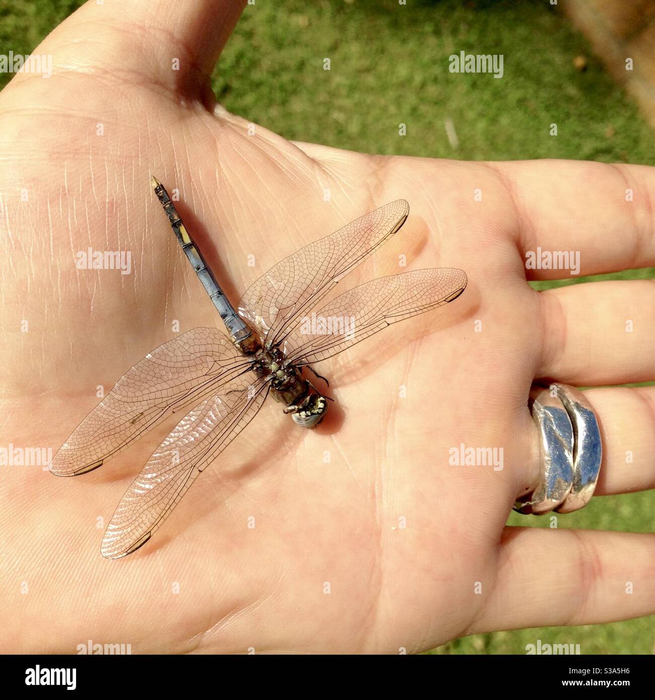 Silver man hi-res stock photography and images - Alamy
