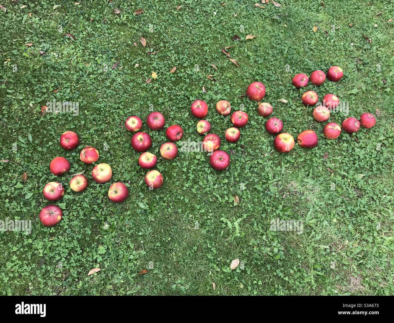 The Word “APPLE” Composed of Fresh Apples Stock Photo - Alamy