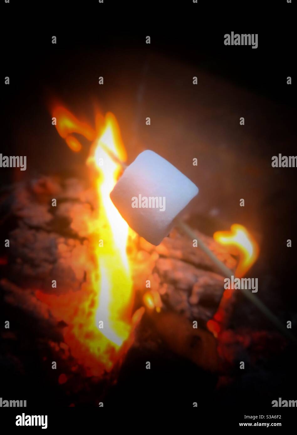 Toasting marshmallow over an open fire Stock Photo - Alamy