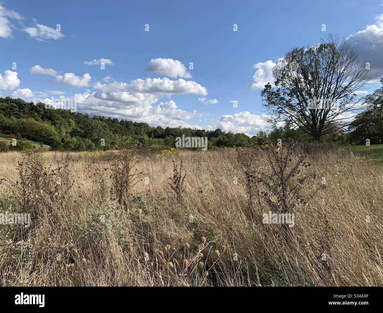 Rolling hills with blue skies hi-res stock photography and images - Alamy