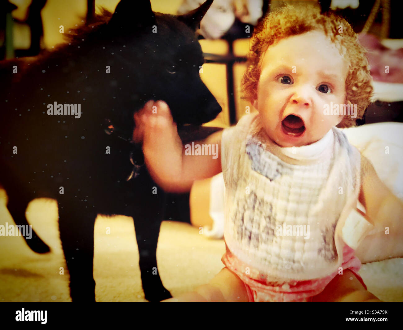 Yell Dog High Resolution Stock Photography and Images - Alamy