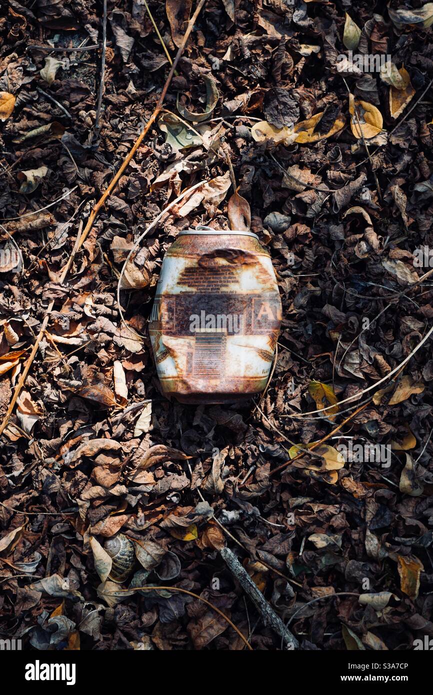 Old can hi-res stock photography and images - Alamy