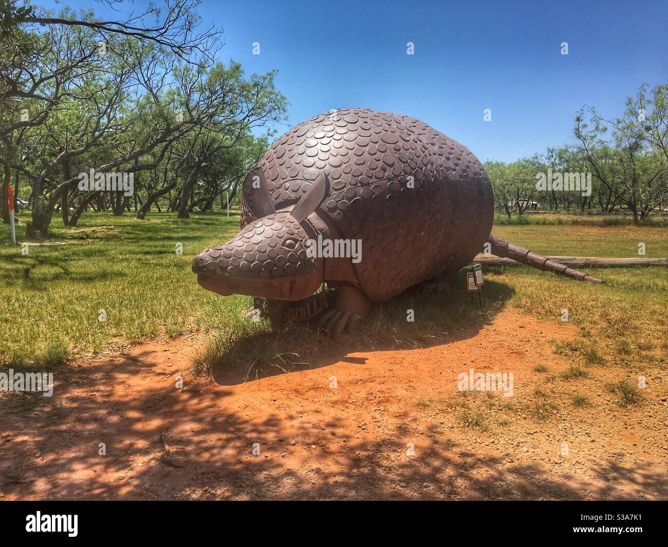 Giant armadillo hi-res stock photography and images - Alamy