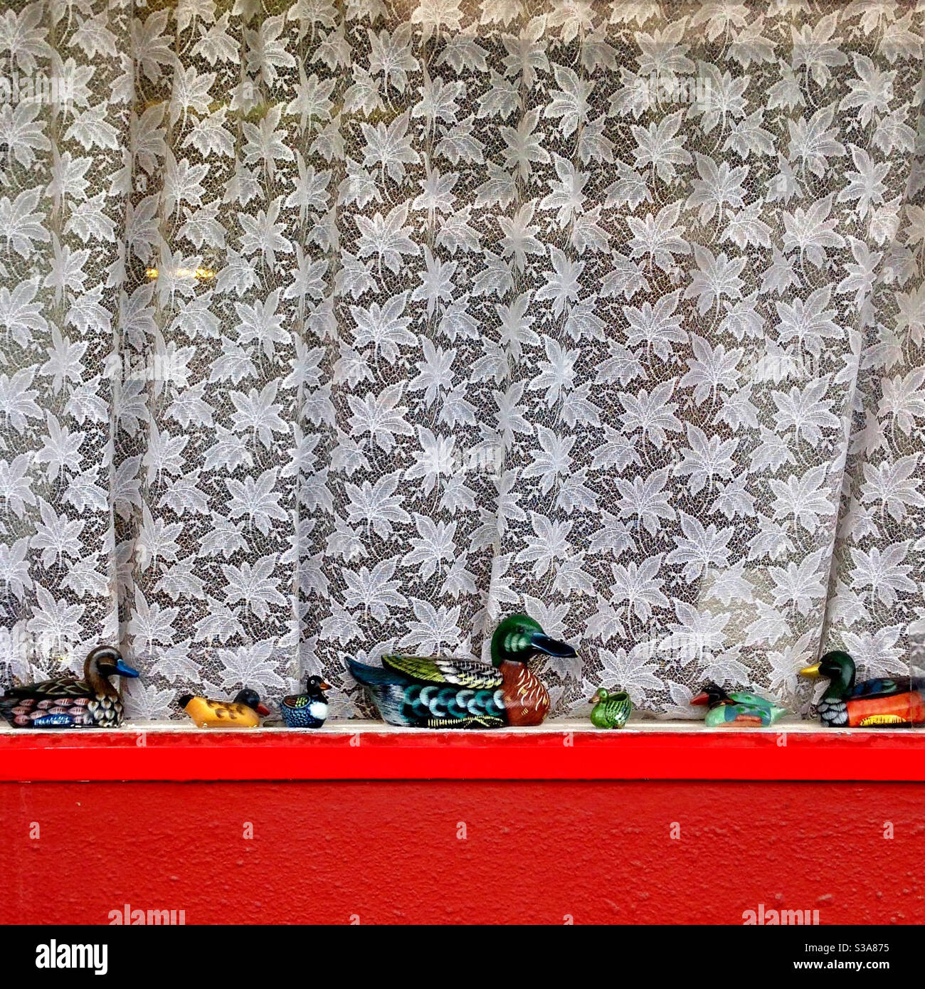 Net curtains hi-res stock photography and images - Alamy