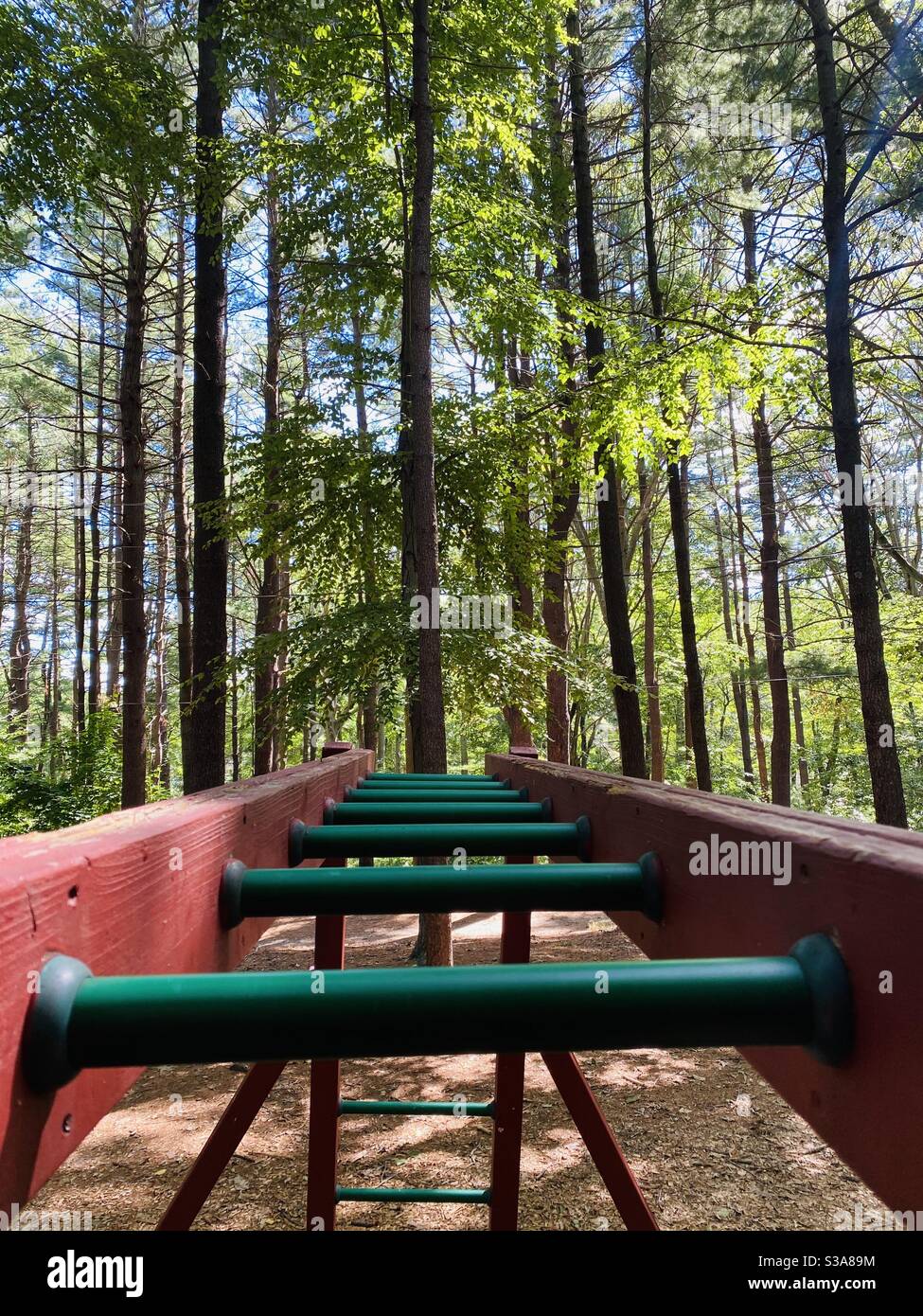 Monkey bar in nature Stock Photo - Alamy