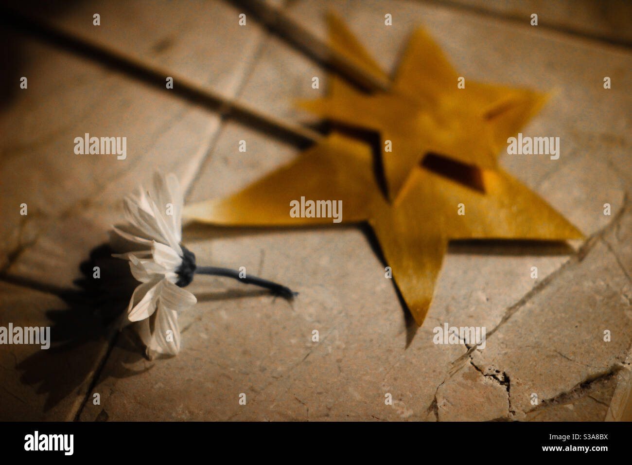 Stars of unity hi-res stock photography and images - Alamy