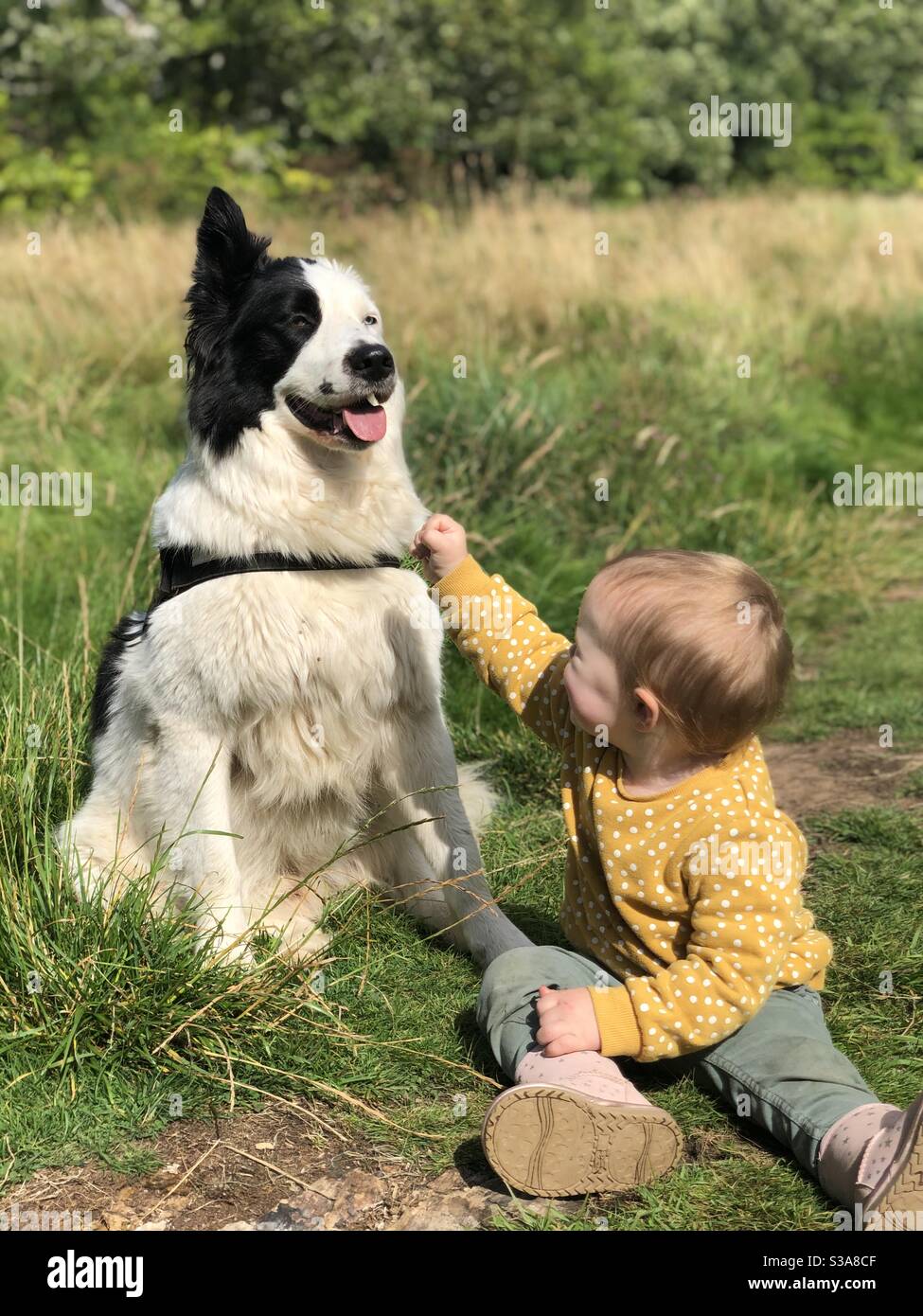 Kid with dog hi-res stock photography and images - Alamy