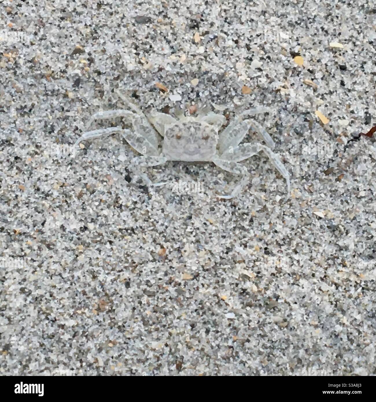 Crabby face hi-res stock photography and images - Alamy