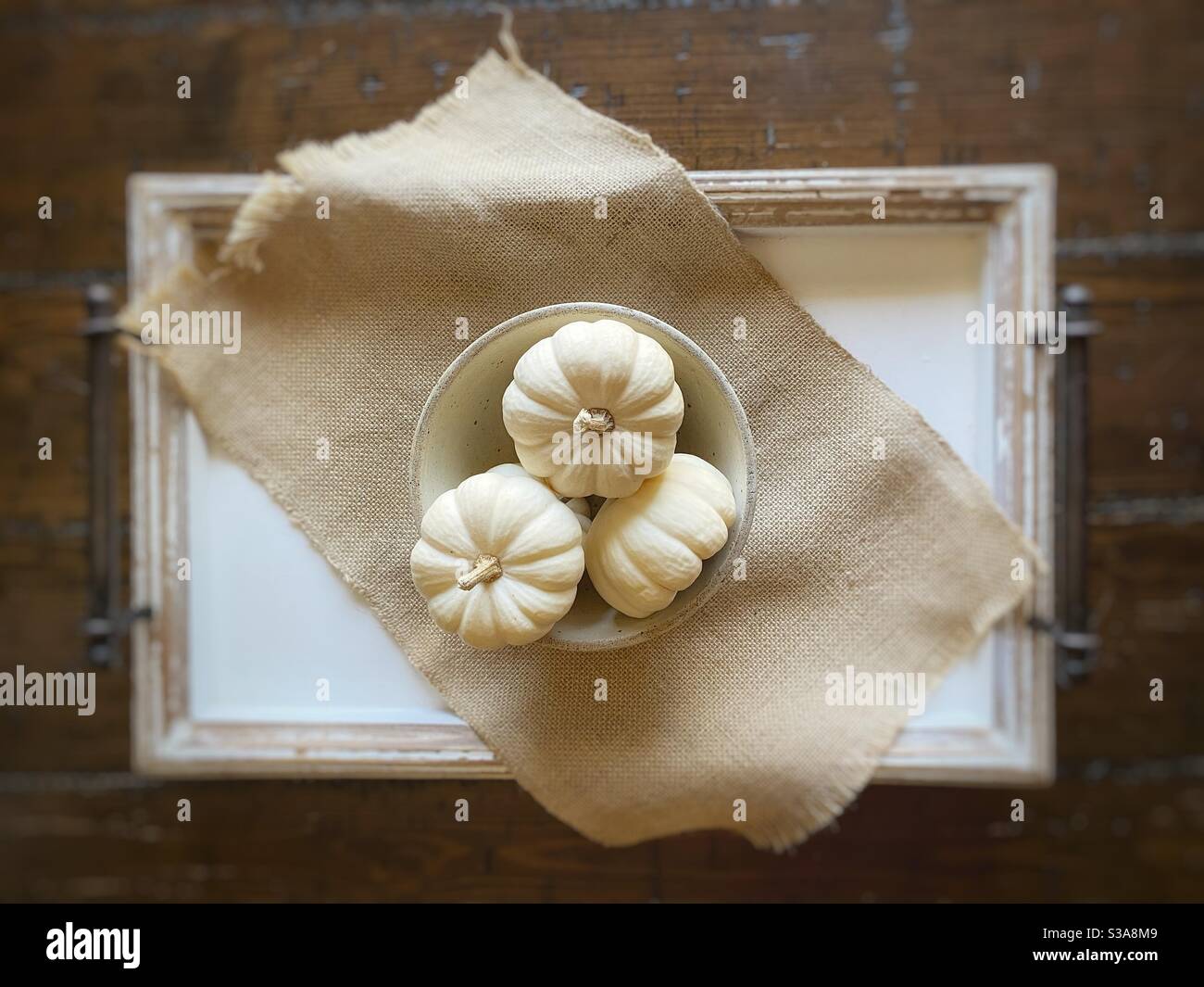 Pumpkin baby boo hi-res stock photography and images - Alamy