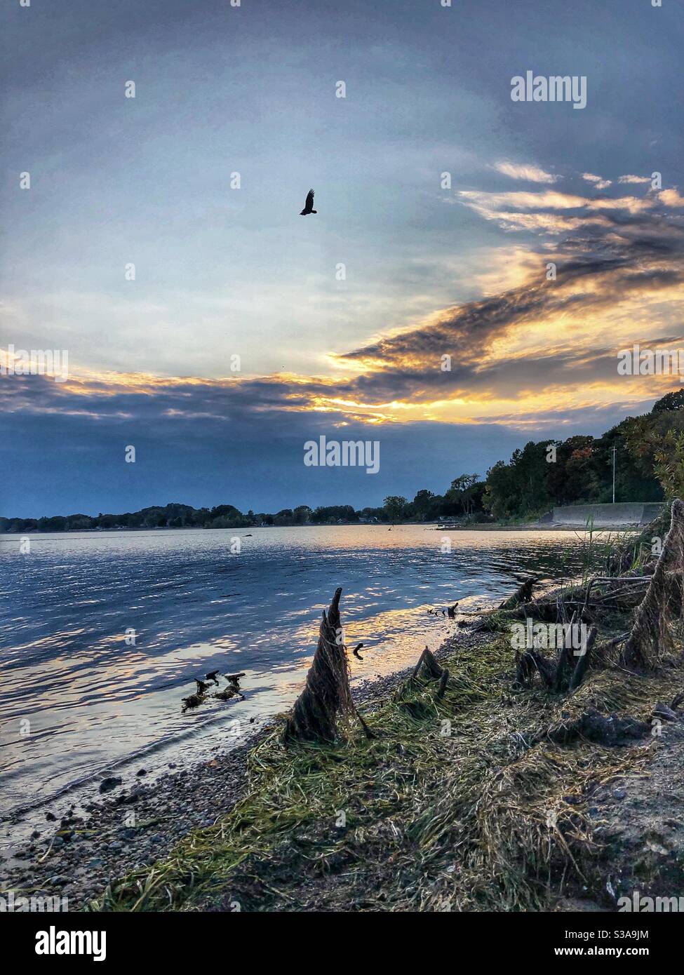 Lake erie waterfront hi-res stock photography and images - Alamy