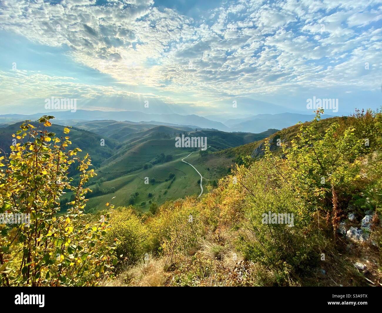 Mountain bushes hi-res stock photography and images - Alamy