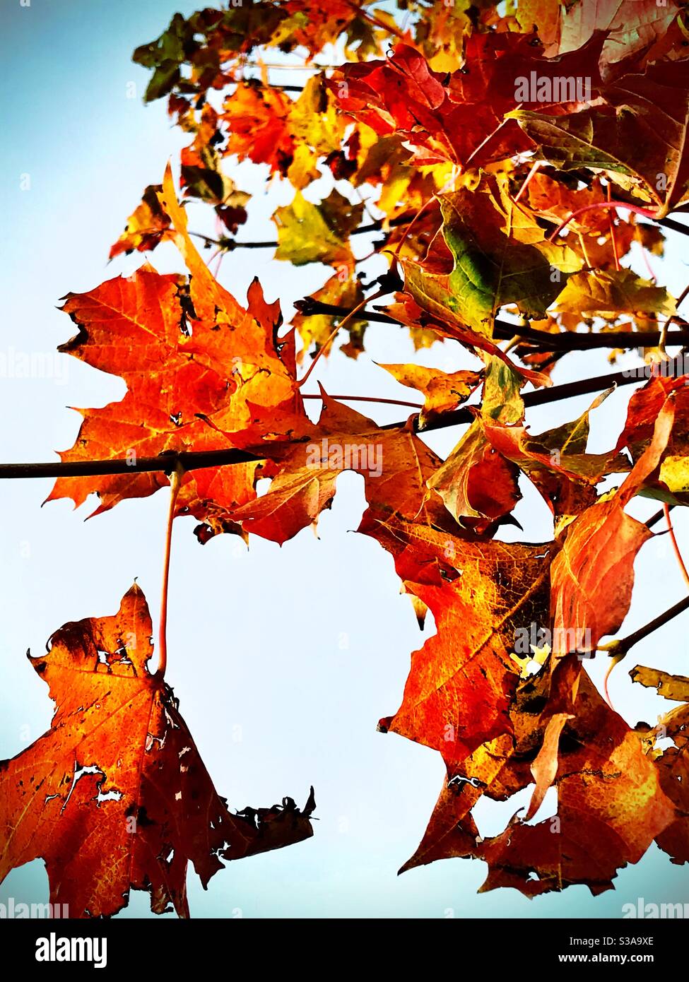 Color colour colours hi-res stock photography and images - Alamy