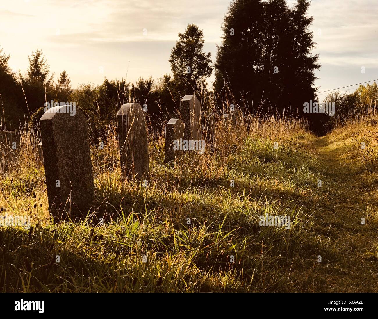 morning shade and light in Cornish churchyard Stock Photo - Alamy