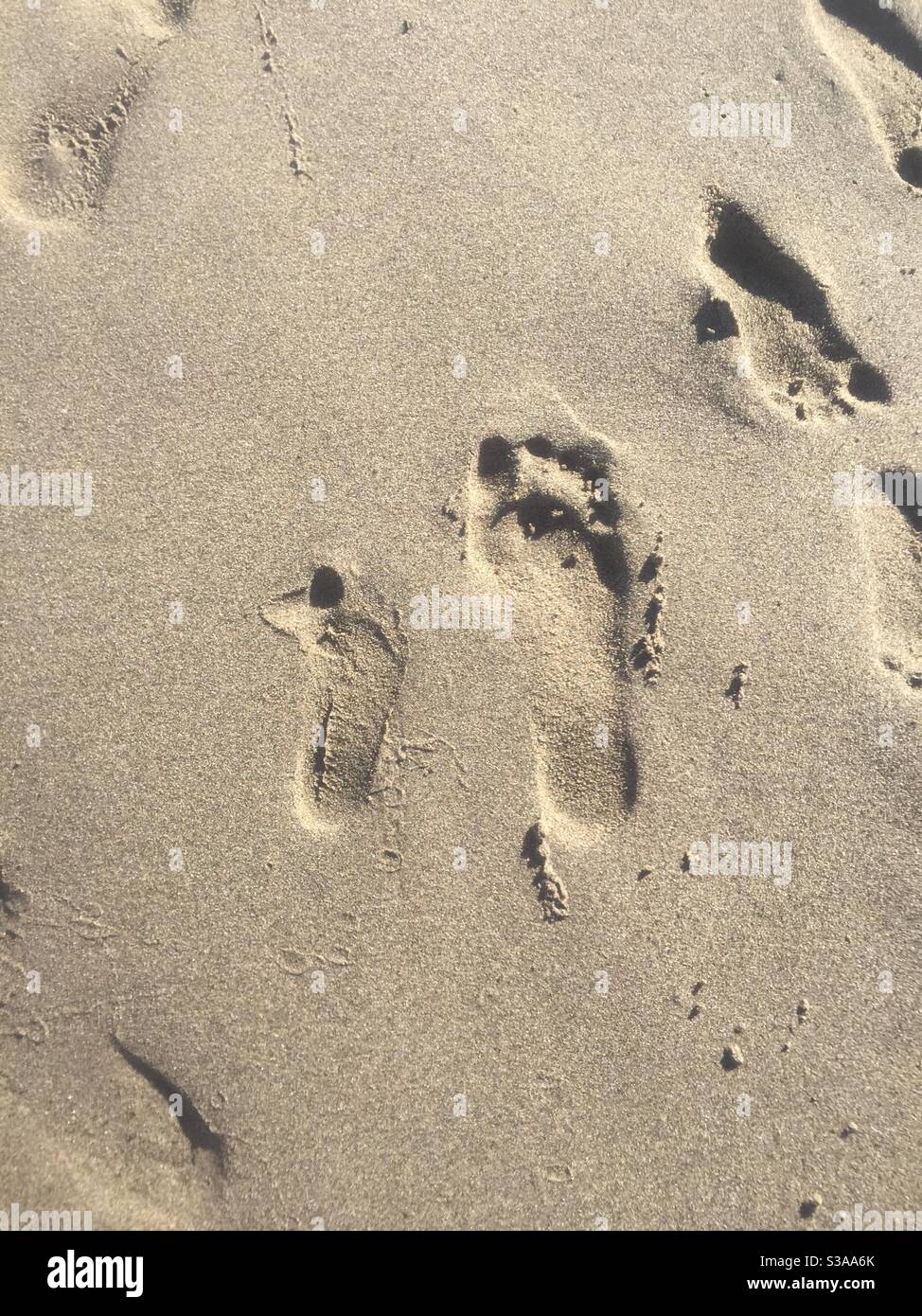 Sand footprints. Adult and child footprints Stock Photo - Alamy