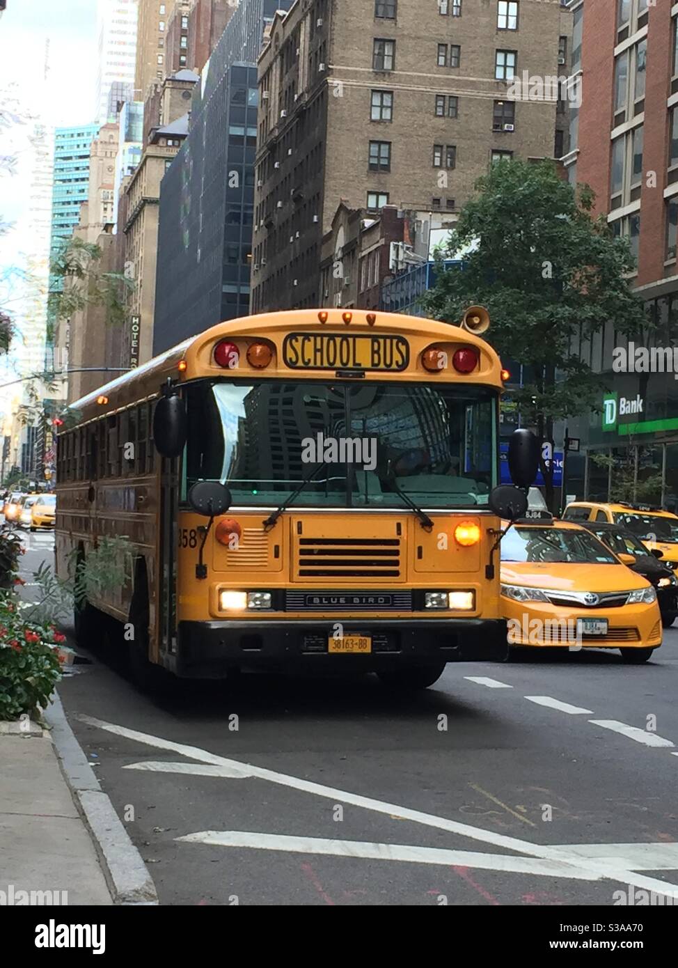 New york city school bus hi-res stock photography and images - Alamy
