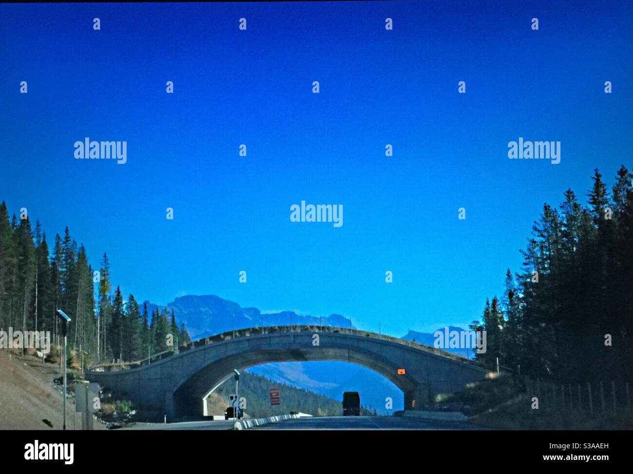 Travelling Alberta, wildlife overpass, transCanada highway, Canadian ...