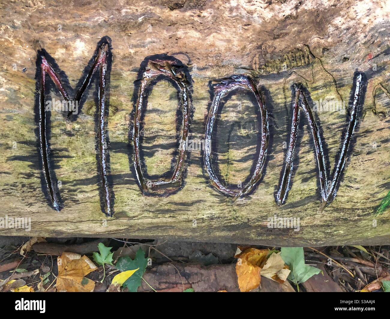 The word moon etched on a fallen tree trunk Stock Photo - Alamy