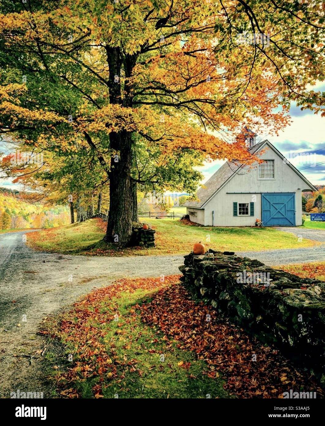 Fall is here Stock Photo - Alamy