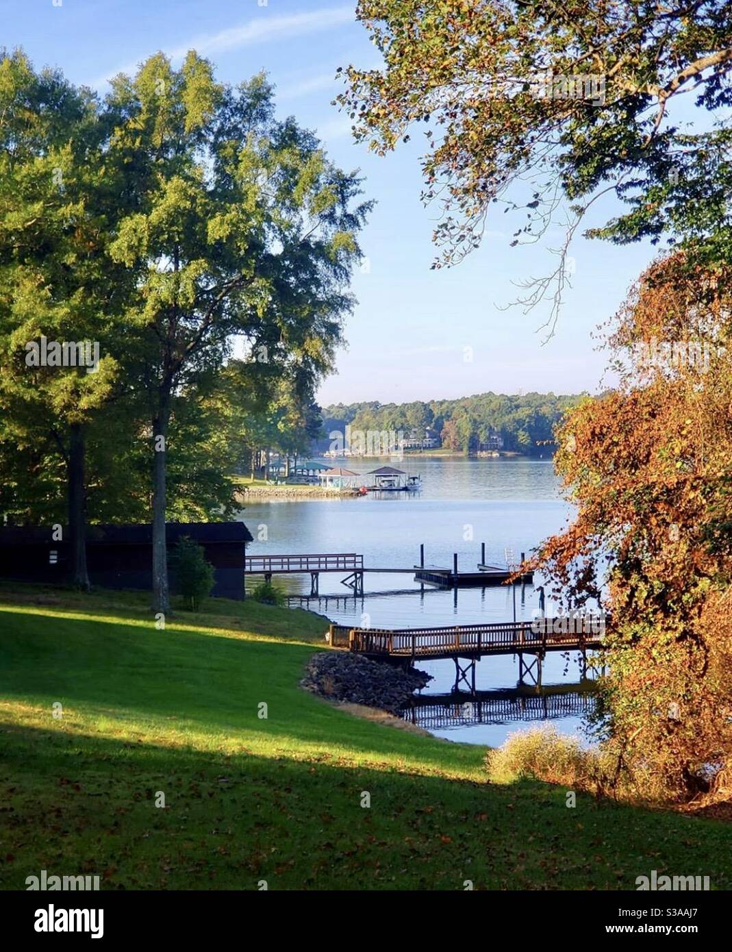 Tress and leaves hi-res stock photography and images - Alamy