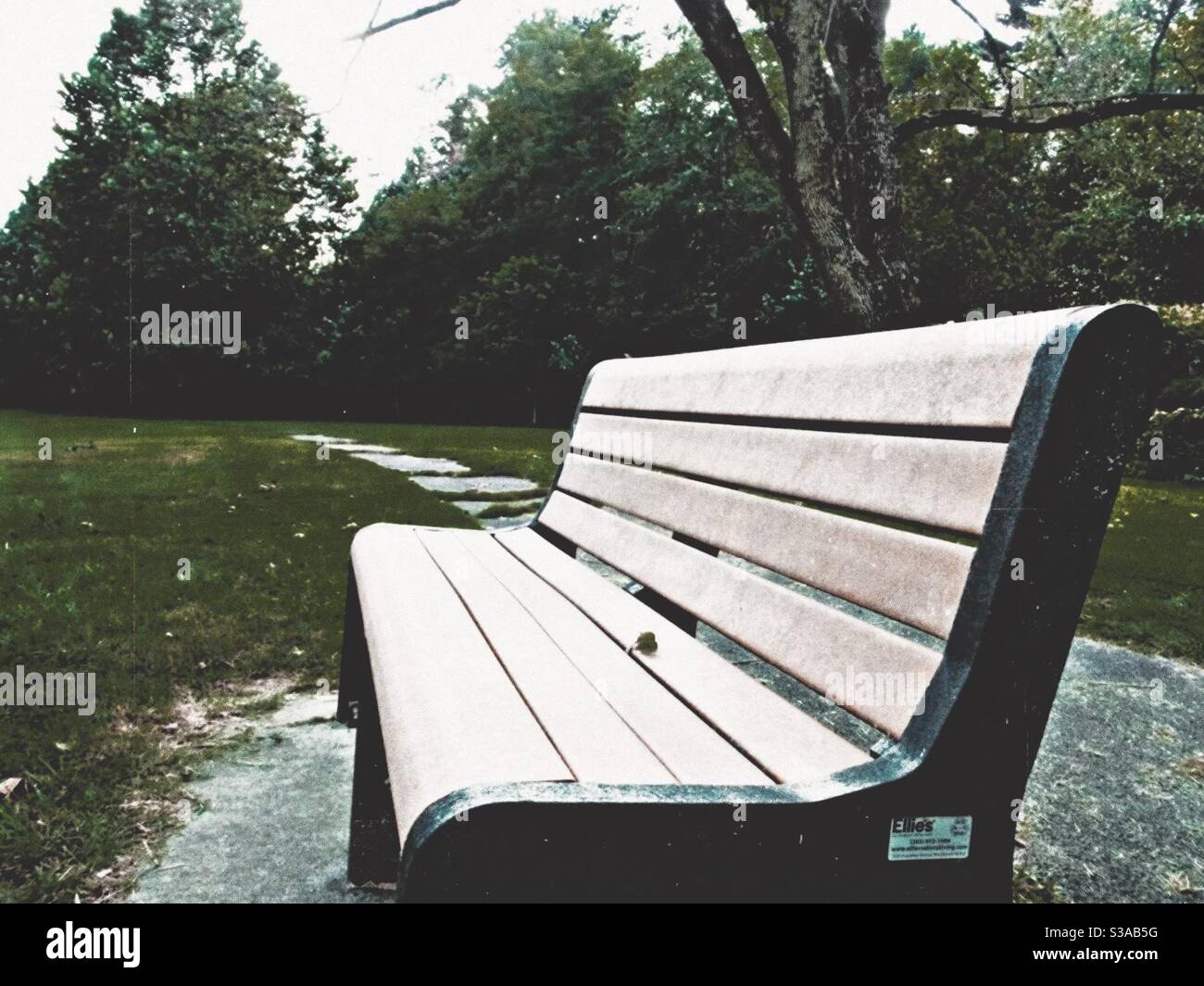 Park bench on rainy day Stock Photo - Alamy