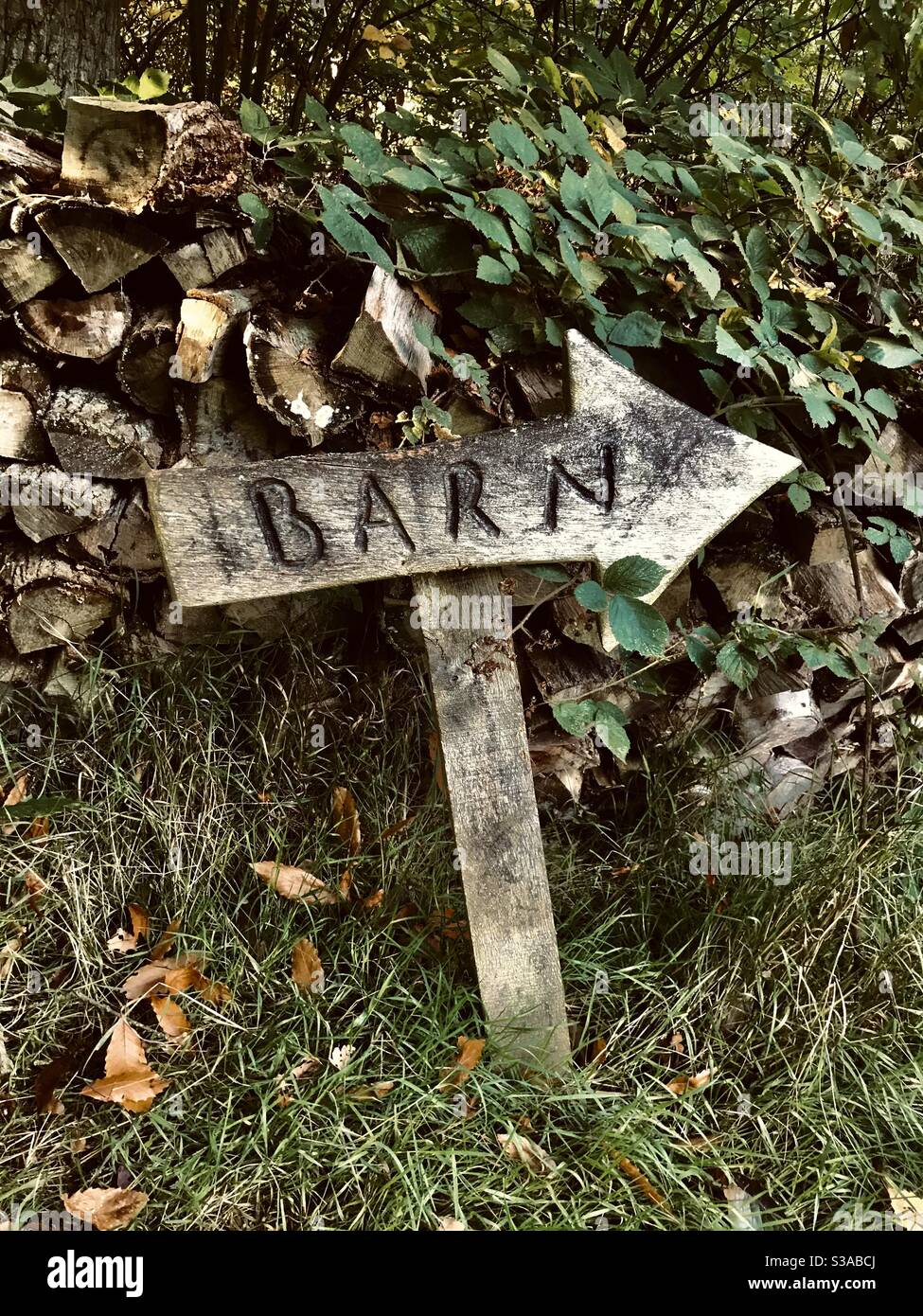 Trees behind barn hi-res stock photography and images - Alamy