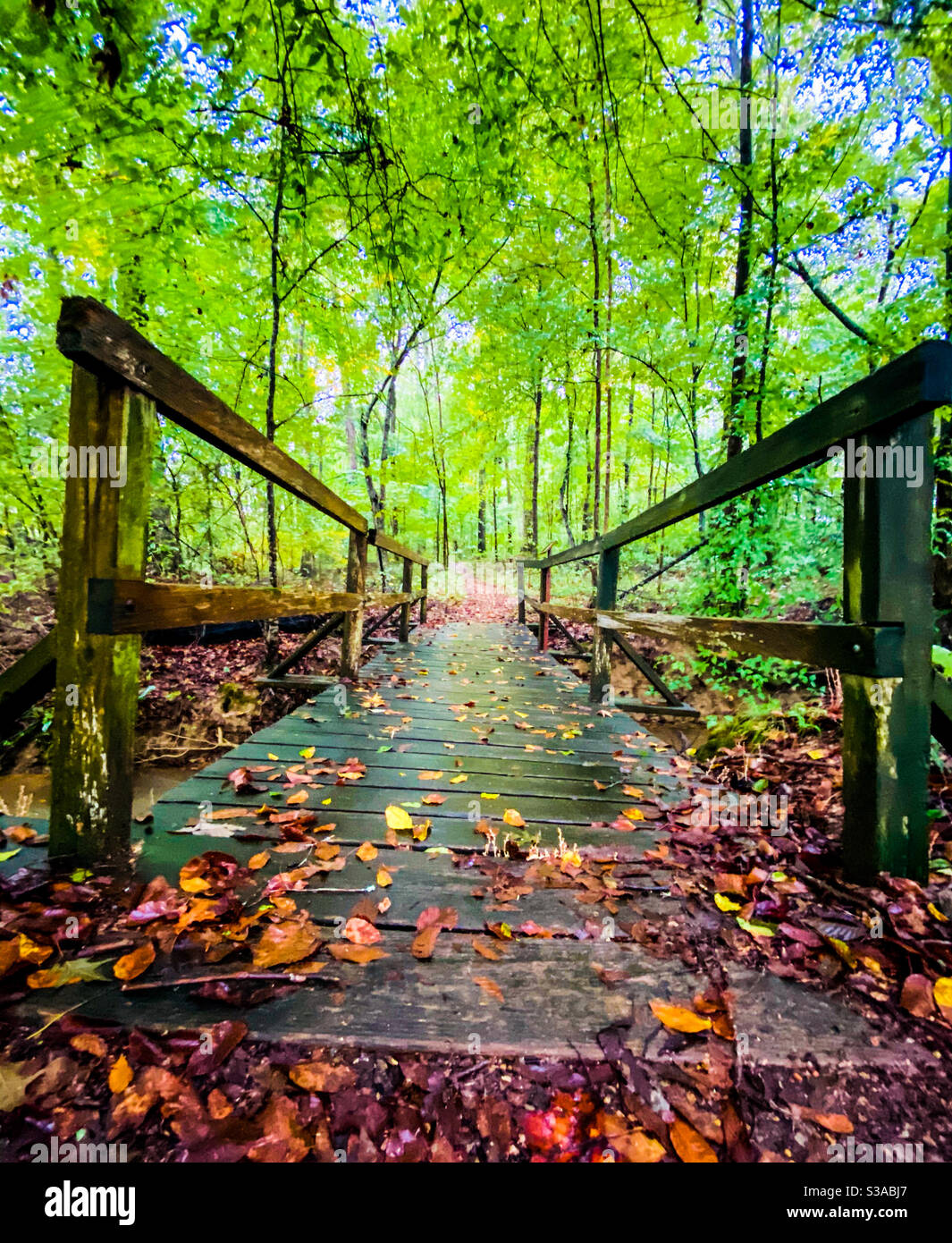 Leaves on the walkway hi-res stock photography and images - Alamy