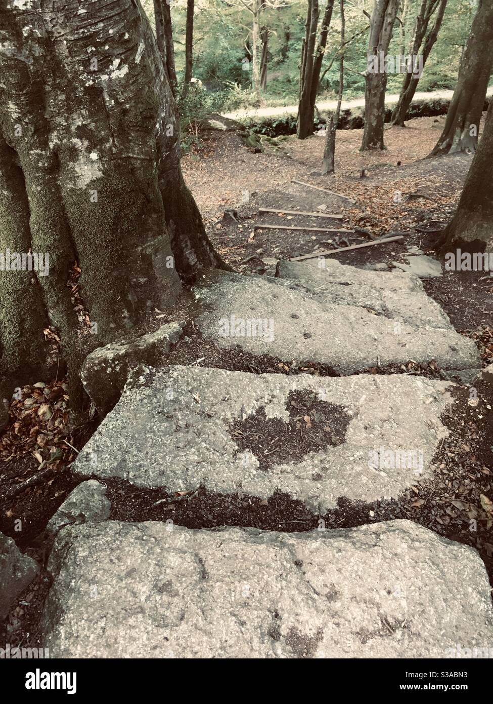 Through steps hi-res stock photography and images - Alamy
