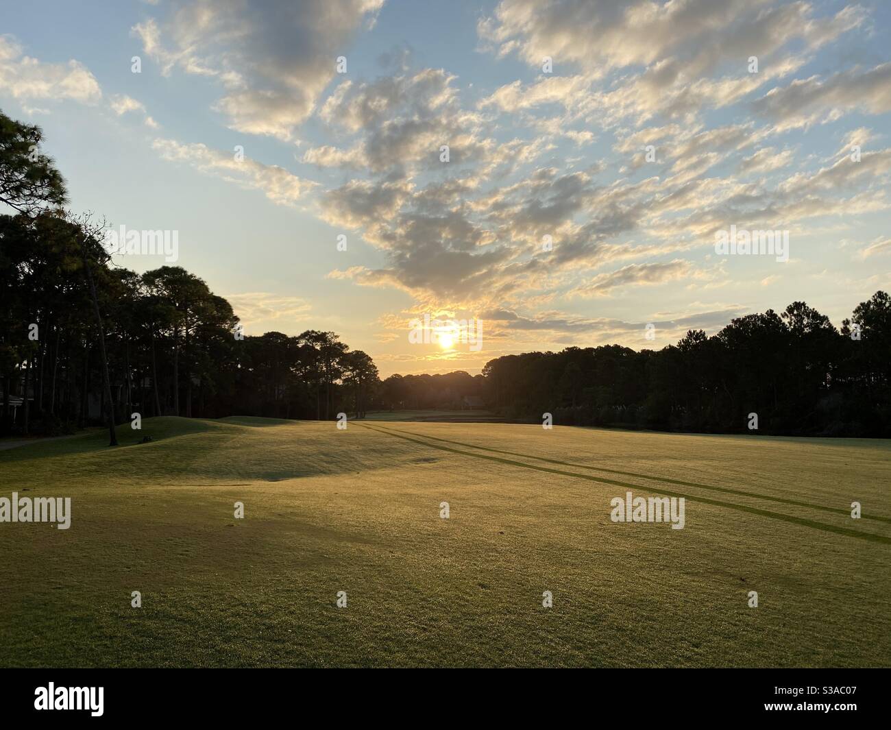 Morning sunrise over green grass landscape Stock Photo - Alamy