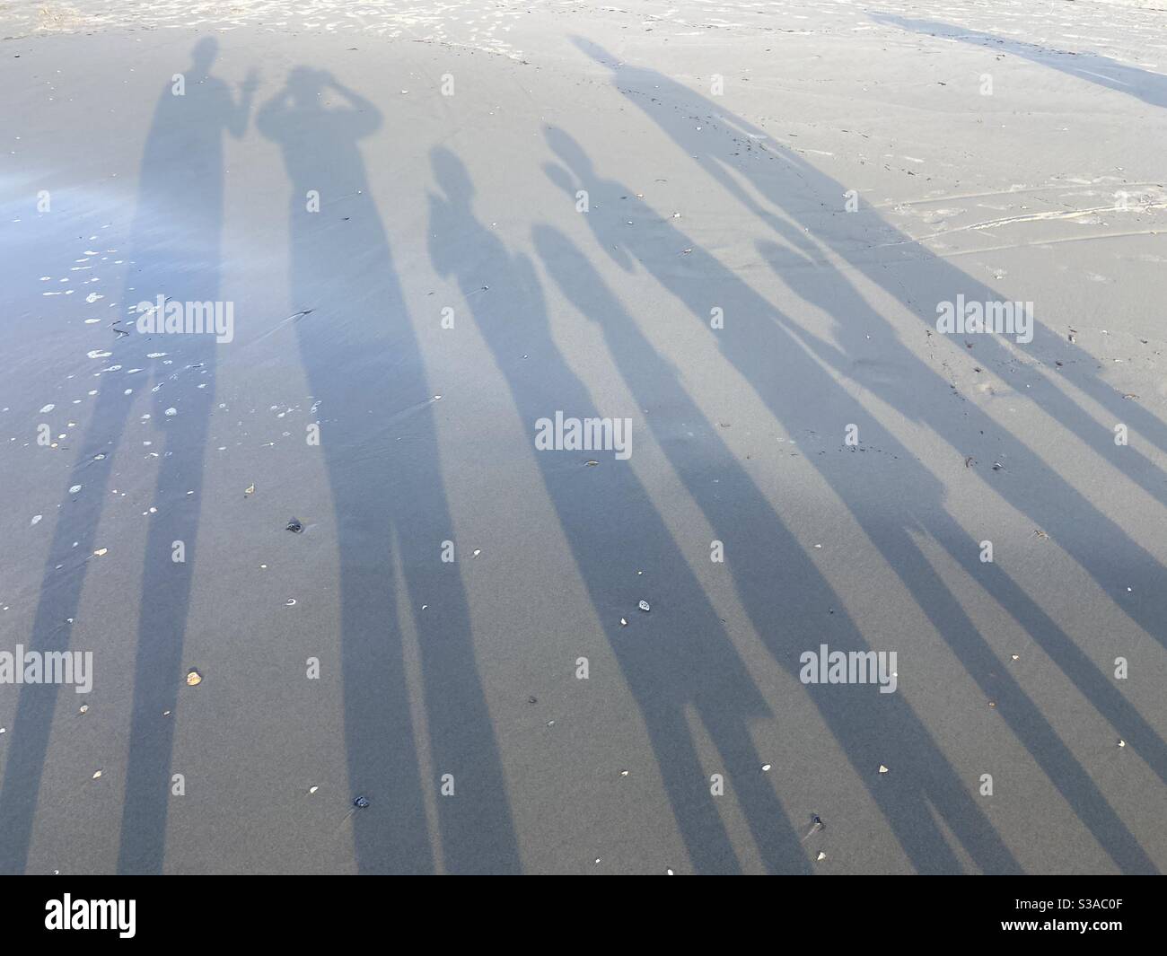 Portraits in shadow hi-res stock photography and images - Alamy