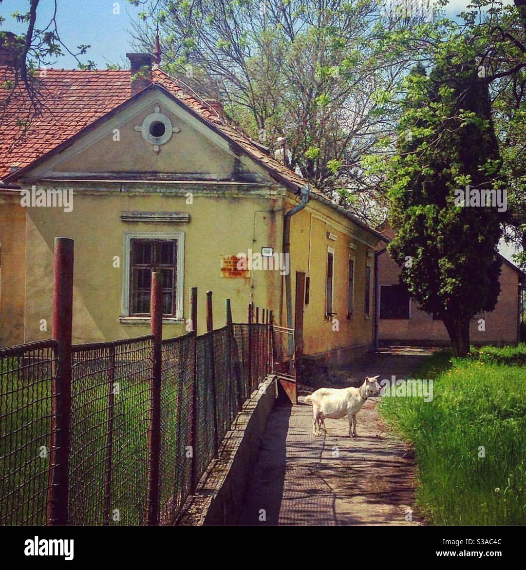 Rurallife hi-res stock photography and images - Alamy