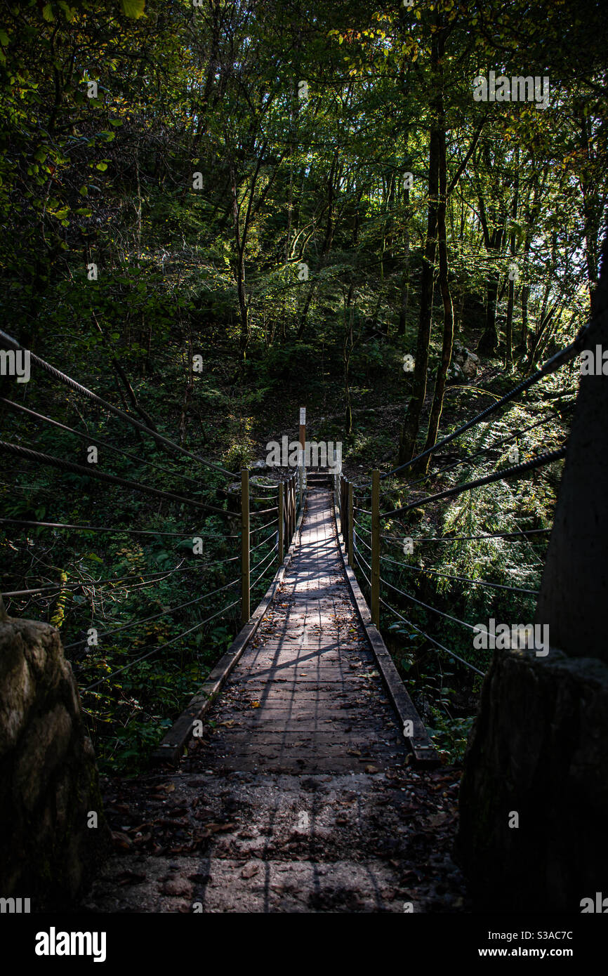 Wooden Rope Bridge High Resolution Stock Photography and Images - Alamy