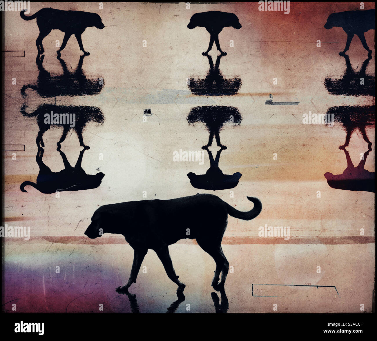 Multiple exposure technique hi-res stock photography and images - Alamy